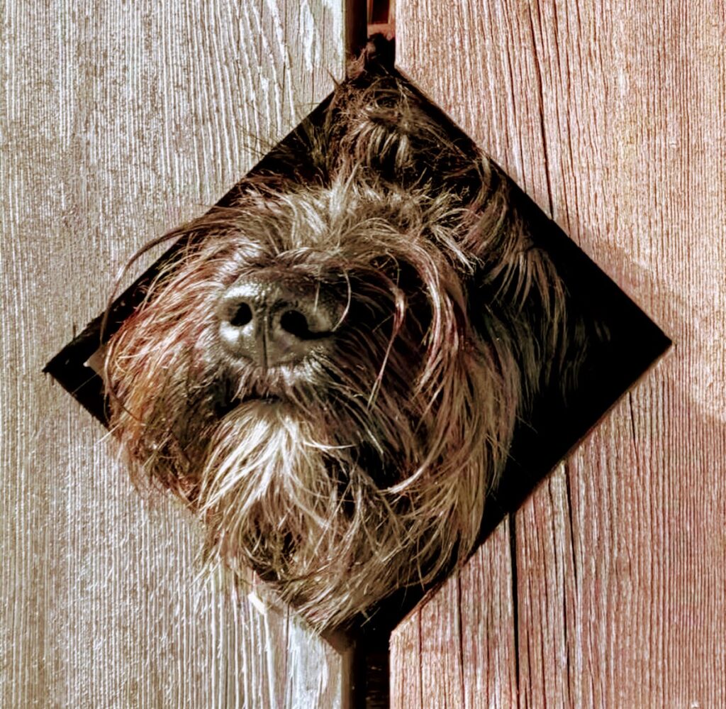 How to Coach Yourself: Reflection Practices for Every Coach